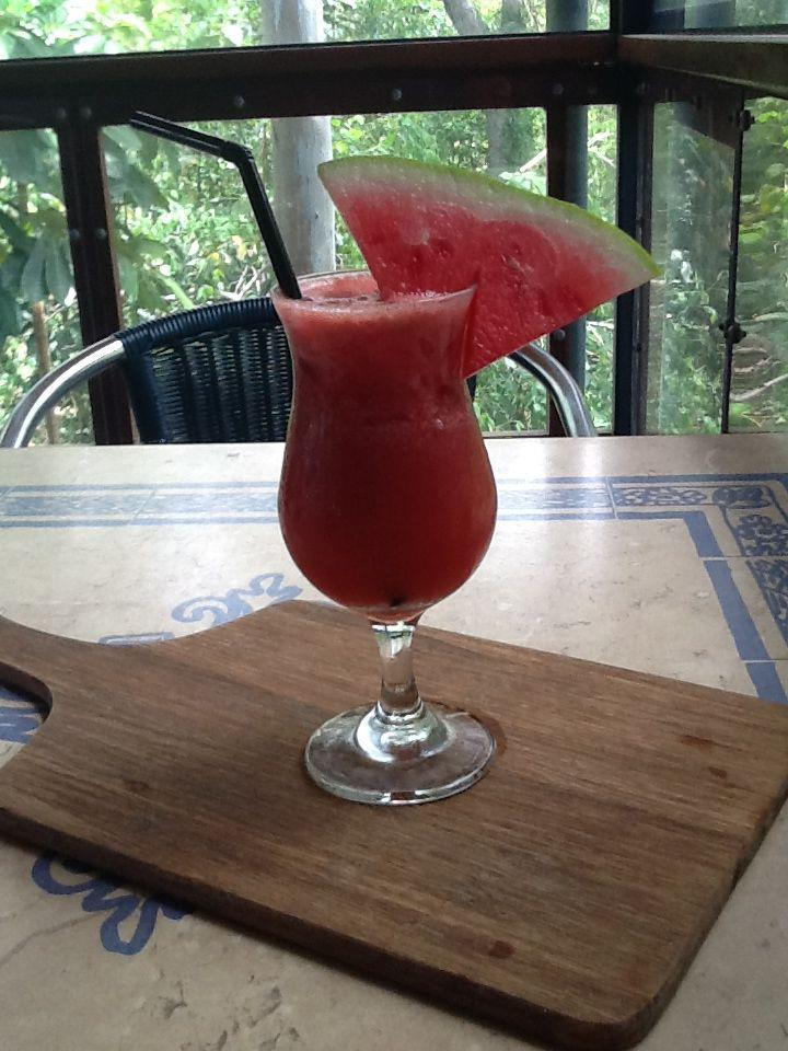 Blue Parrot Cafe – Bay Islands Info